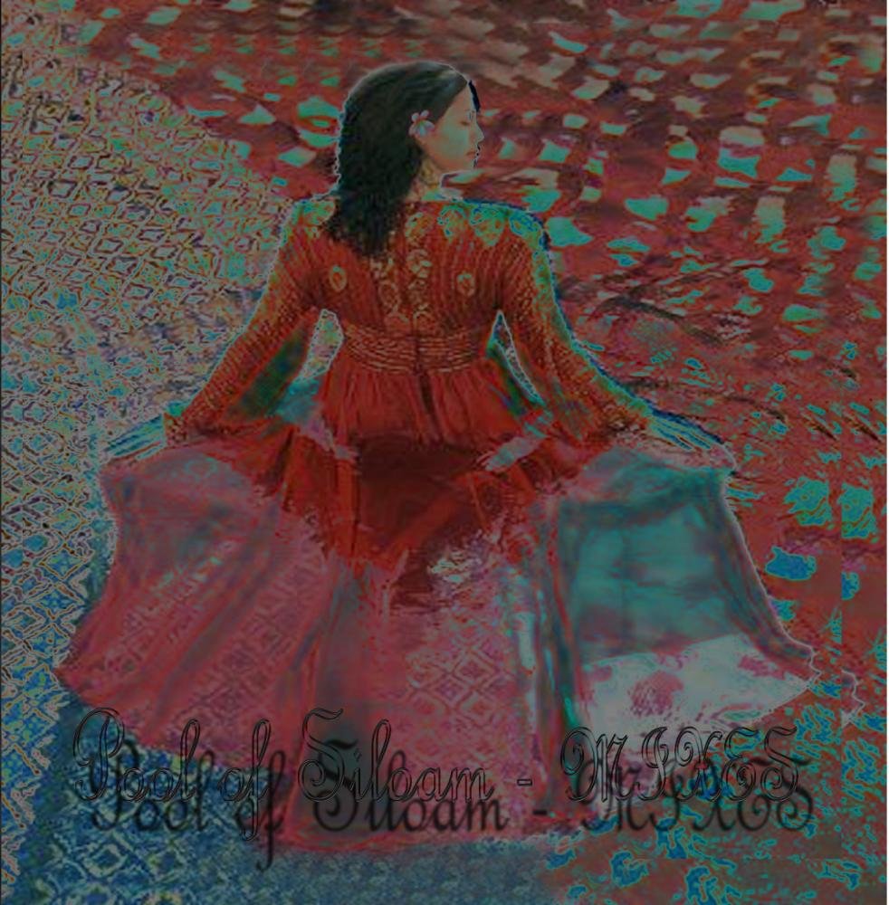 Pool of Siloam - Pool of Siloam - mixes - Amazon.com Music