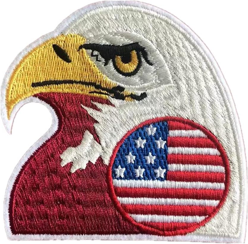 Amazon.com: Iron on American Flag Eagle Patch Embroidered Sew on US ...