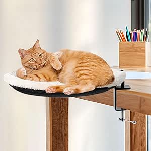 Amazon.com : FUVLIFE Cat Desk Bed, Durable Cat Desk Perch for Indoor ...