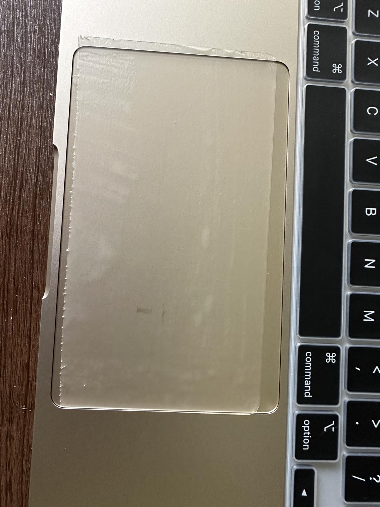 Ecomaholics Transparent Laptop Touchpad Trackpad Protector for 2022 ...