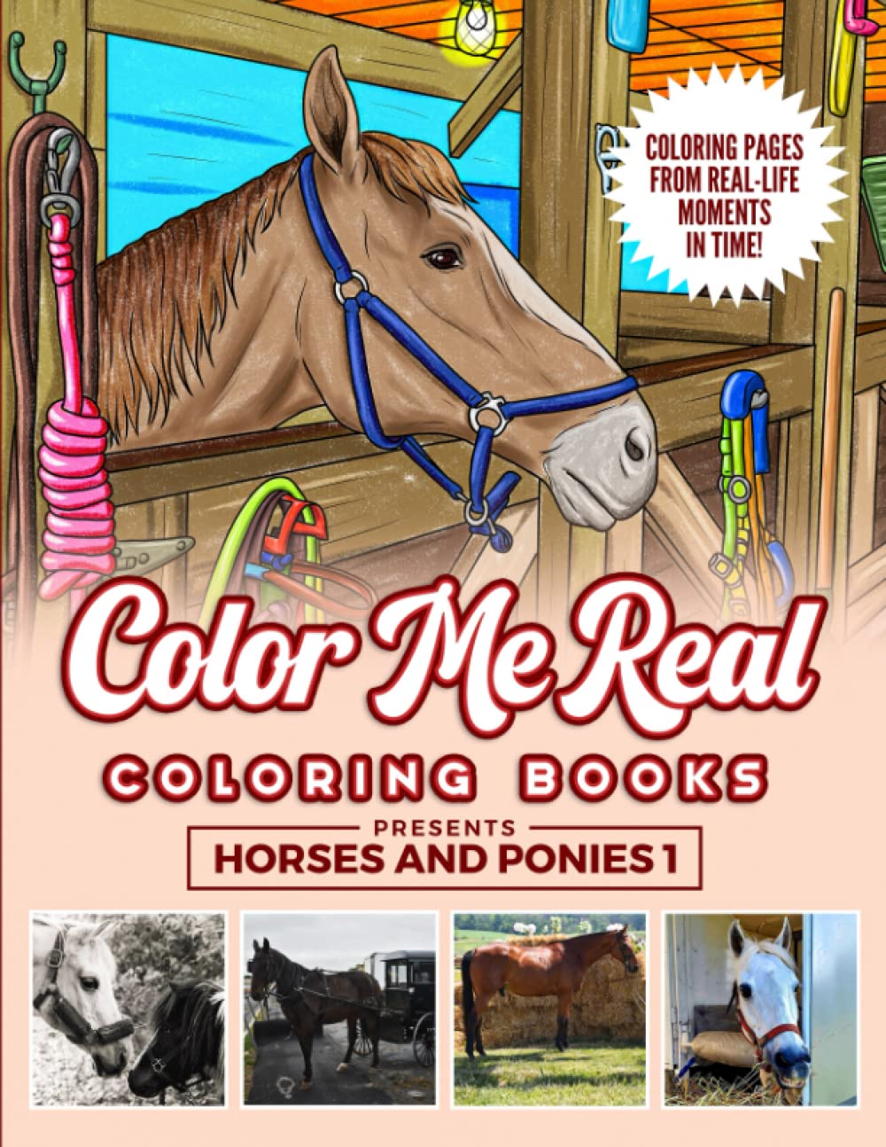 Amazon.com: Color Me Real Coloring Books: Horses and Ponies Edition 1: ...