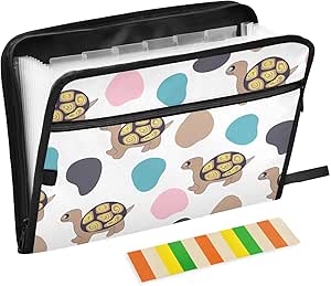 Amazon.com : Turtle Brown Accordion File Folder Organizer 13 Pockets ...