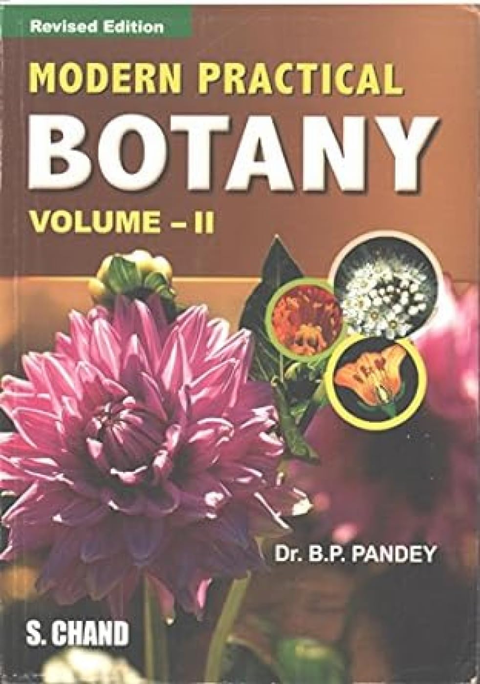 Buy Modern Practical Botany Volume–II Book Online at Low Prices in ...