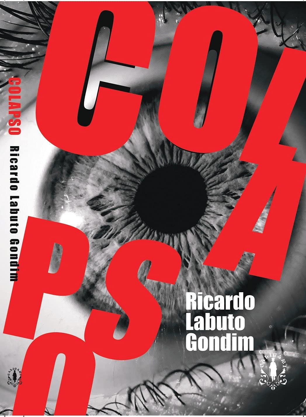 Amazon.com: COLAPSO: 9786589476153: GONDIM, RICARDO LABUTO: Books