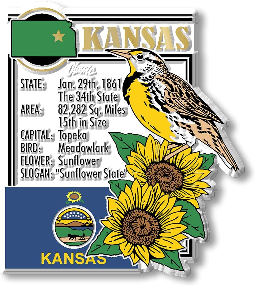 Amazon.com: Kansas State Montage Magnet by Classic Magnets, 2.9" x 3.2 ...