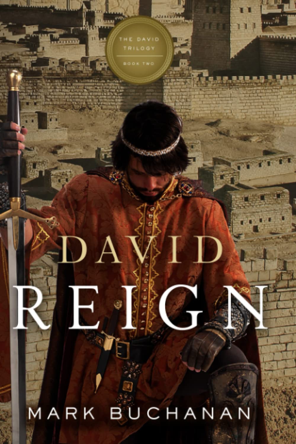 David: Reign (The David Trilogy): Buchanan, Mark A: 9781777127824 ...
