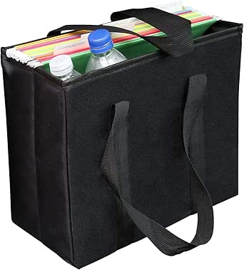 Amazon.com: HOME DISTRICT Document Organizer Tote - Portable File Box ...