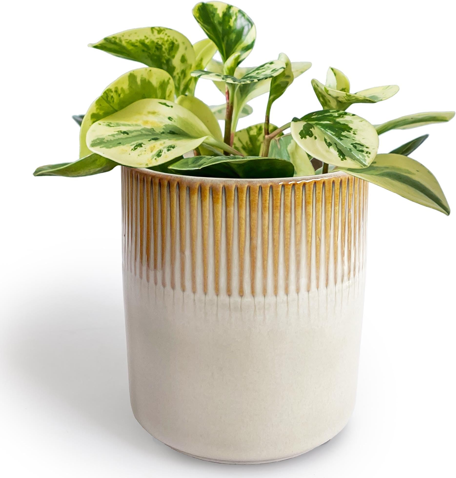 Amazon.com : Casktcom 4 inch Unique Modern Ceramic Plant Pot, Glazed ...