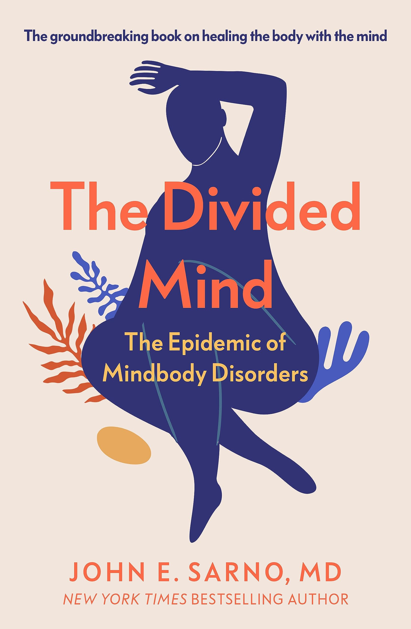 The Divided Mind: The Epidemic of Mindbody Disorders: Amazon.co.uk ...