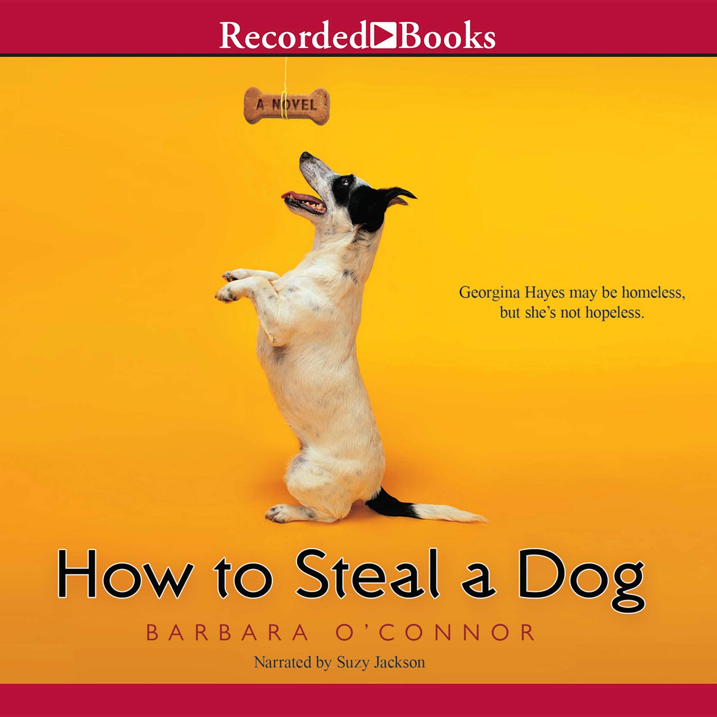 How to Steal a Dog: Barbara O'Connor: 9781664666351: Amazon.com: Books