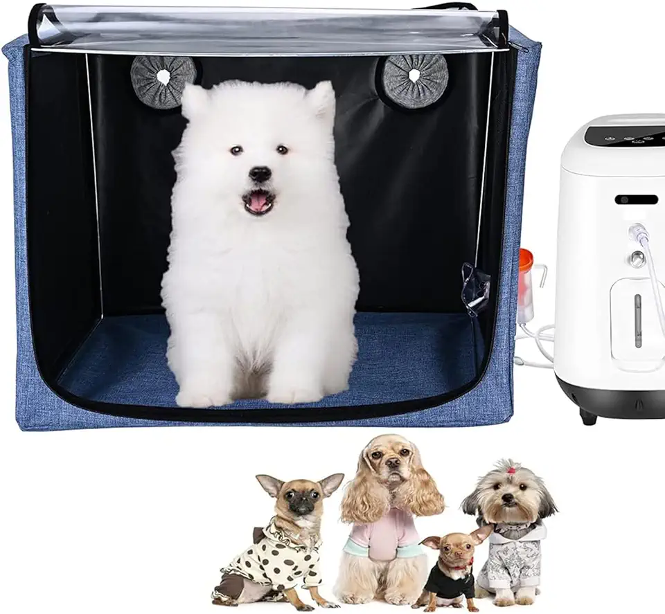 Understanding Stertor Breathing In Cats: Causes And Treatment Options ...