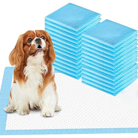 Dog Pee Pads Disposable Dog and Puppy Training Pads Pet Potty Training ...