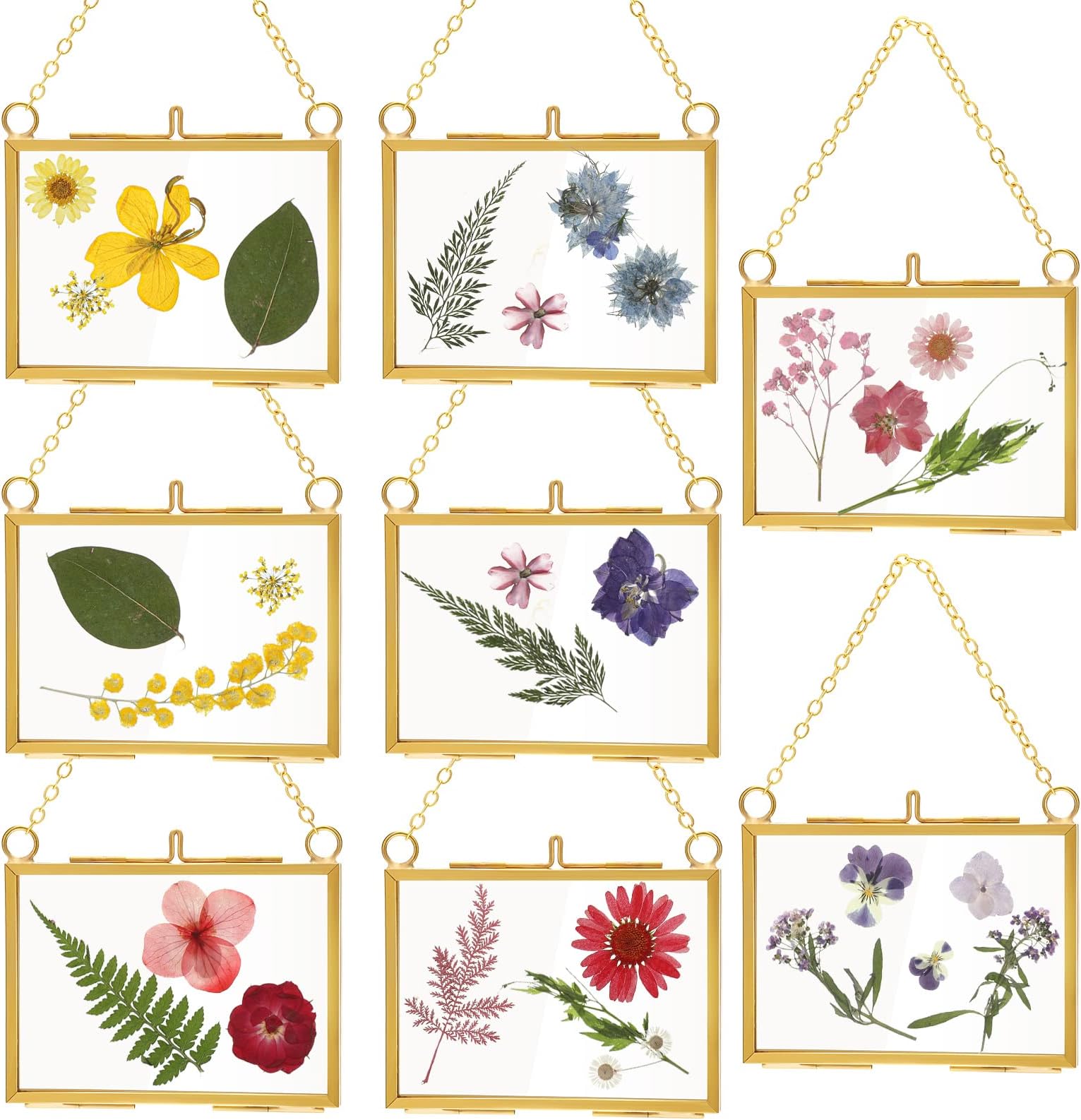 Amazon.com - Barydat 12 Packs Pressed Flowers Glass Frames 5 x 7 Inch ...