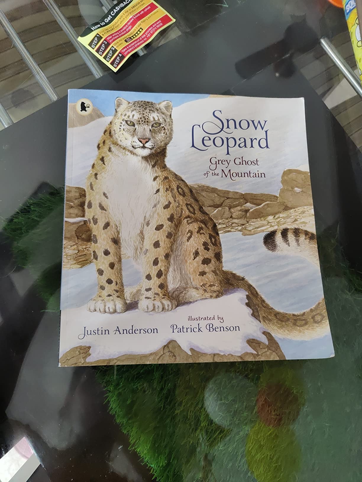 Snow Leopard: Grey Ghost of the Mountain (Nature Storybooks) : Justin ...