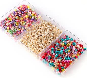 Amazon | YAYAMIYA ドライフラワー 200個入り スターフラワー レジン用 ミニ 小さい 花 押し花 材 ネイル ペンダント DIY 手芸 クラフト 素材 おしゃれ アソート ...