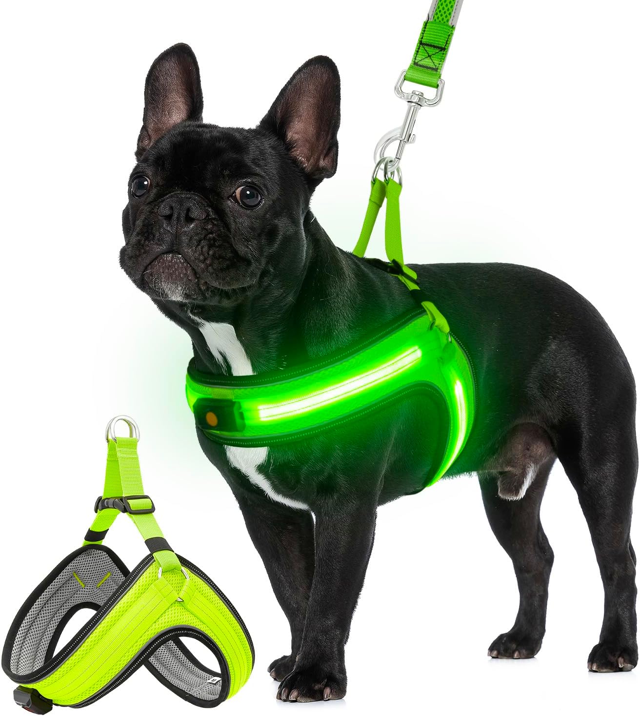 Light Up Dog Harness Medium, Step in Vest Harness Flashing Glow in the ...