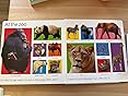 Amazon.com: My Big Animal Book (My Big Board Books): 9780312511074 ...