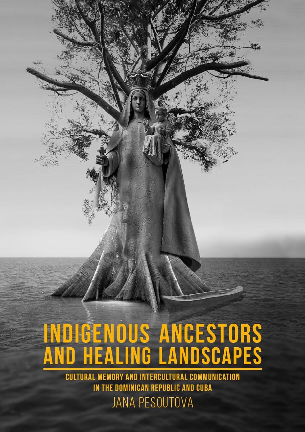 Amazon.com: Indigenous Ancestors and Healing Landscapes: Cultural ...