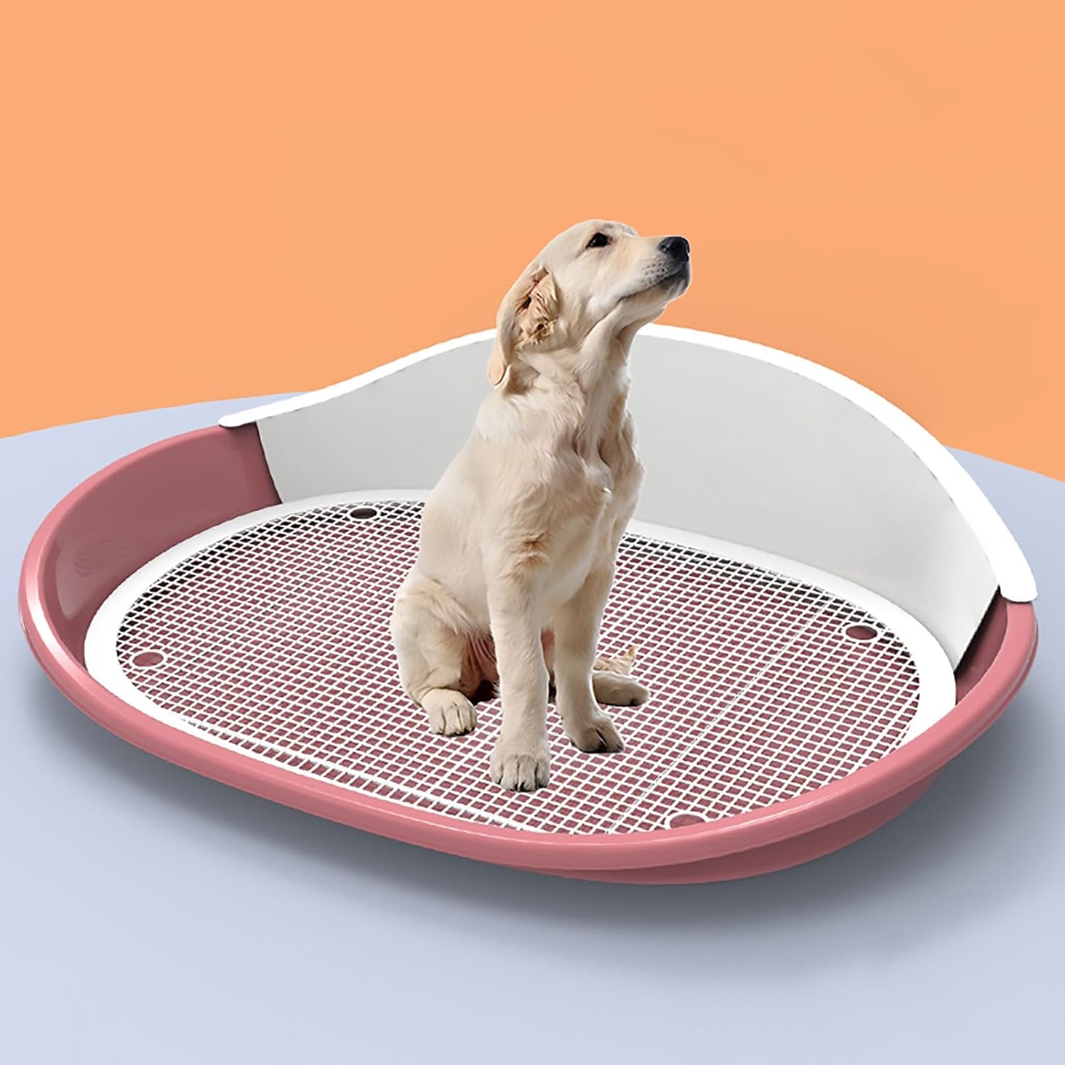 Amazon.com : Dog Toilet, Indoor Dog Potty, Splash Proof Dog Litter Box ...