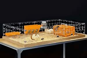 GuineaLoft™ Acrylic Cage (Model-A) - Large 4x2ft Open Cage for Guinea ...