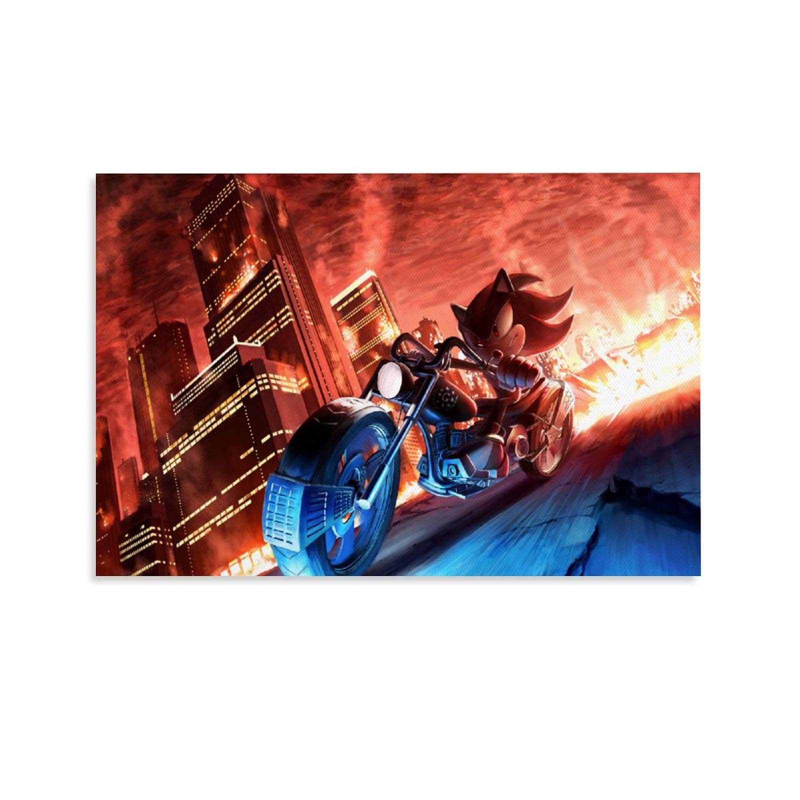 Shadow The Hedgehog On His Motorcycle