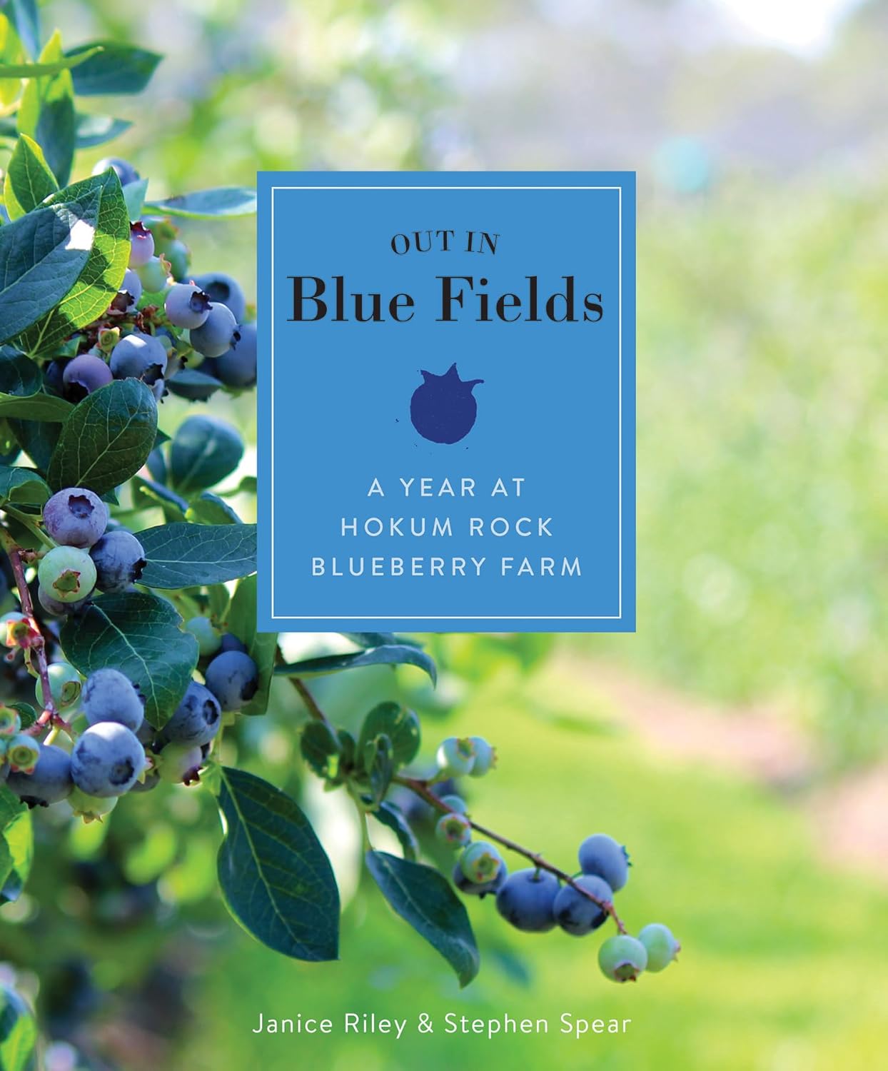 Out in Blue Fields: A Year at Hokum Rock Blueberry Farm: Riley, Janice ...