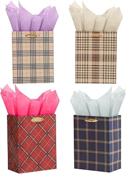 Amazon.com: Bloomwords 9” Small Gift Bag, Plaid Gift Bag with Tissue ...