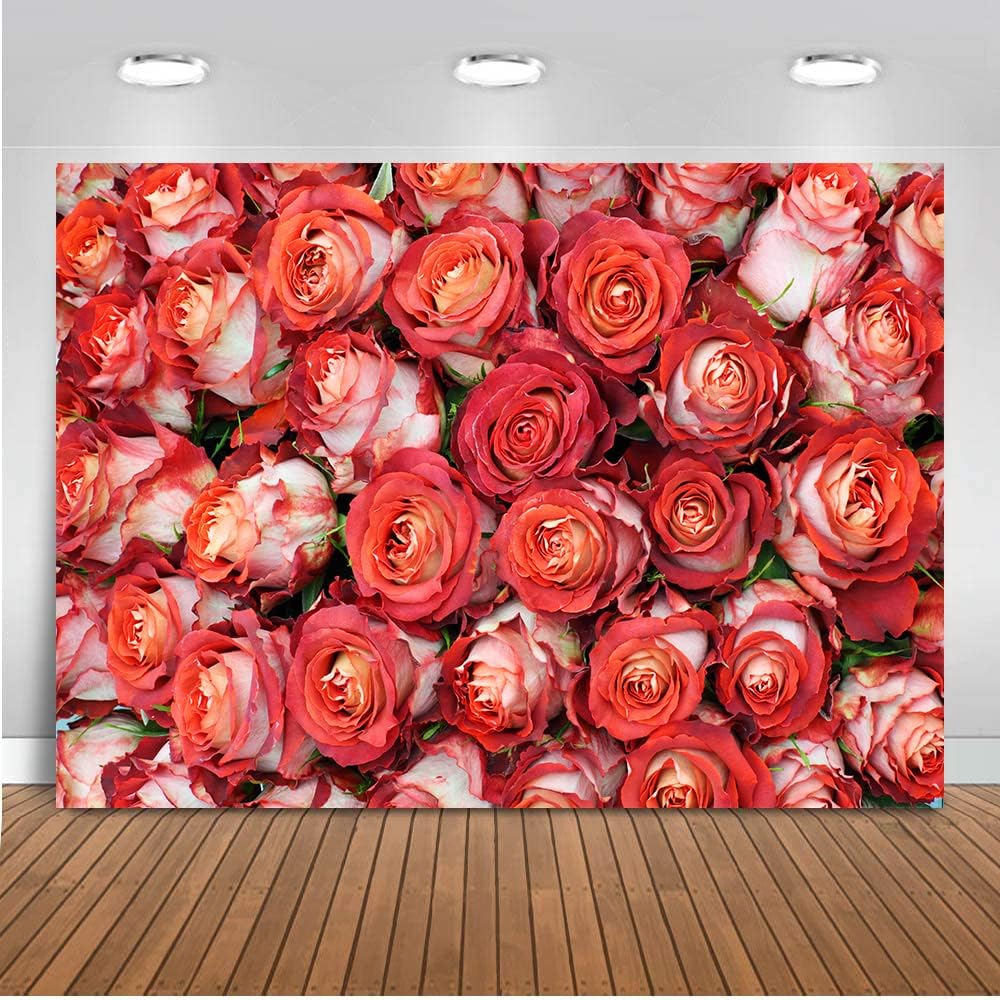 Amazon.com : ANSHUHAI Red Rose Flower Wall Backdrop Rose Flowers ...