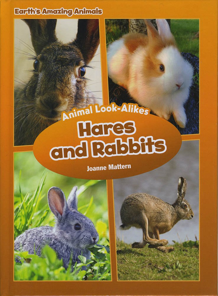 Rabbit Like Animals