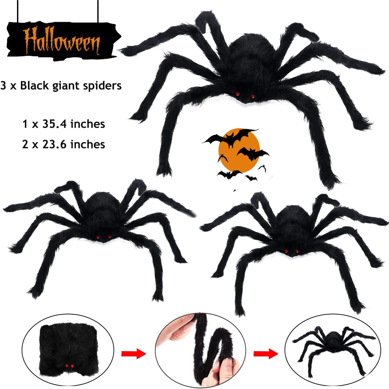 African Giant Spider