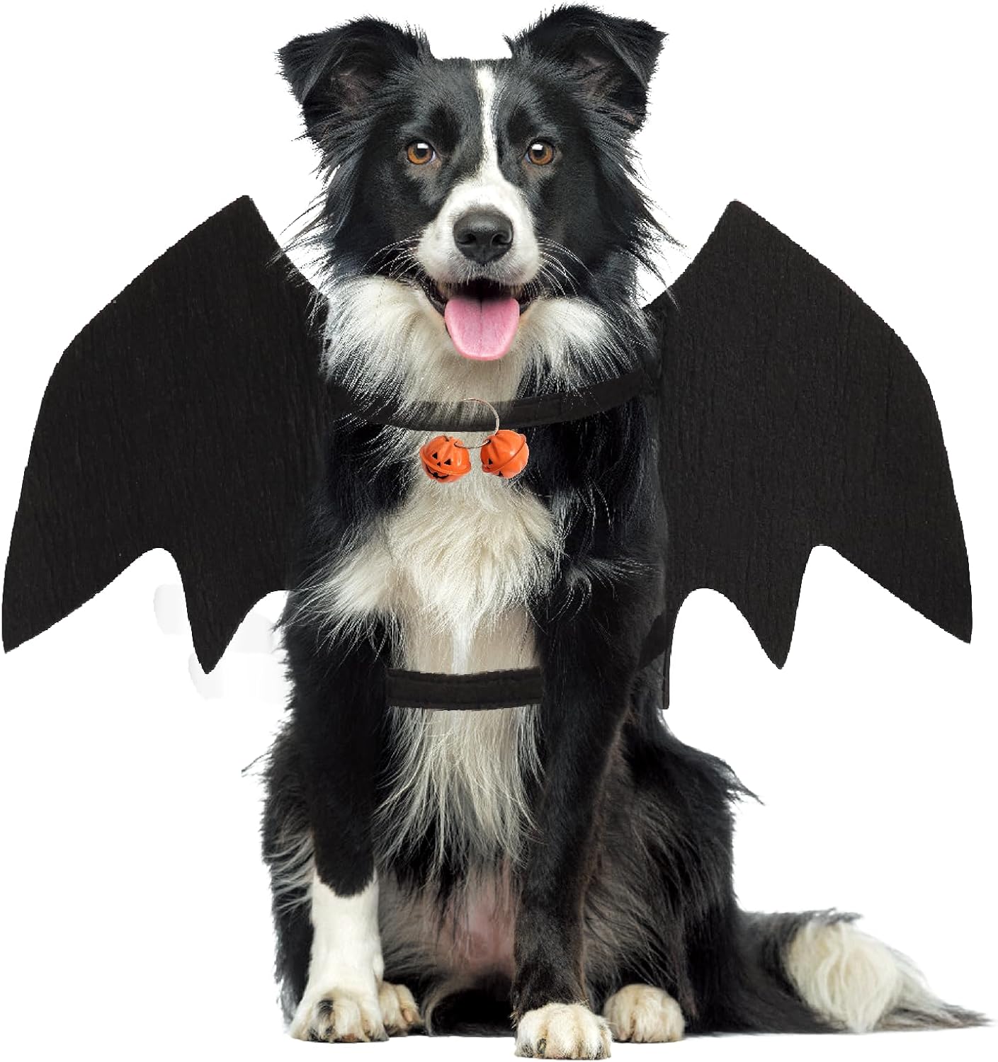 Amazon.com : Dog Bat Costume Dog Bat Wings Adjustable Dogs Halloween ...