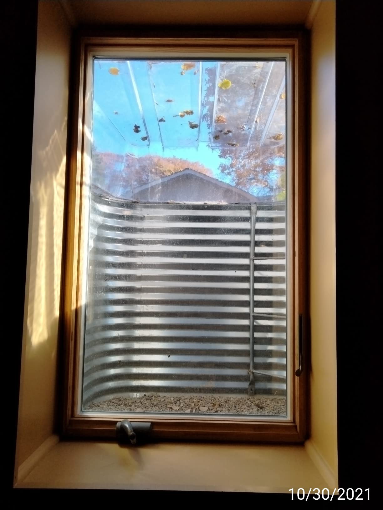 Amazon.com: Biggies WW-GDN-100 Window Well Scene - Garden 100 in ...