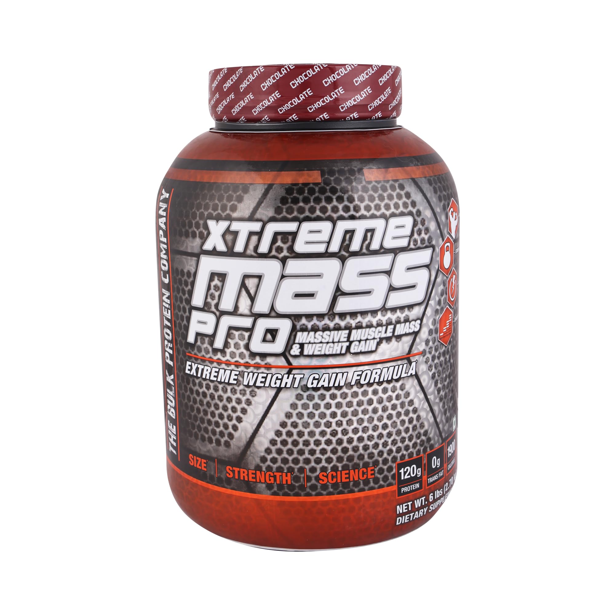 Buy THE BULK PROTEIN COMPANY XTREME MASS PRO, GAINER, WEIGHT GAIN ...