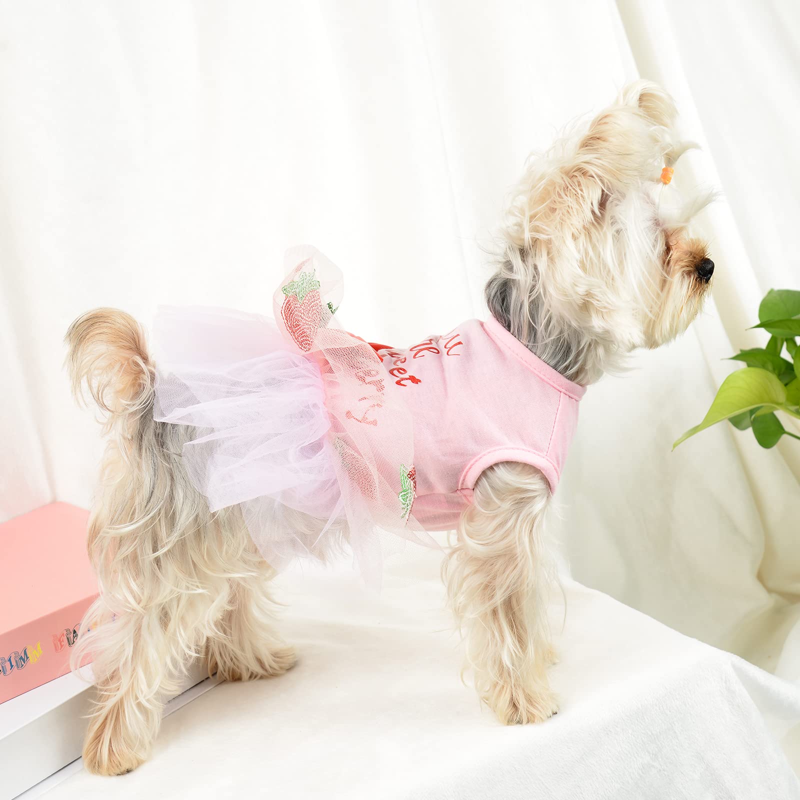 Yorkshire Terrier Clothes And Accessories