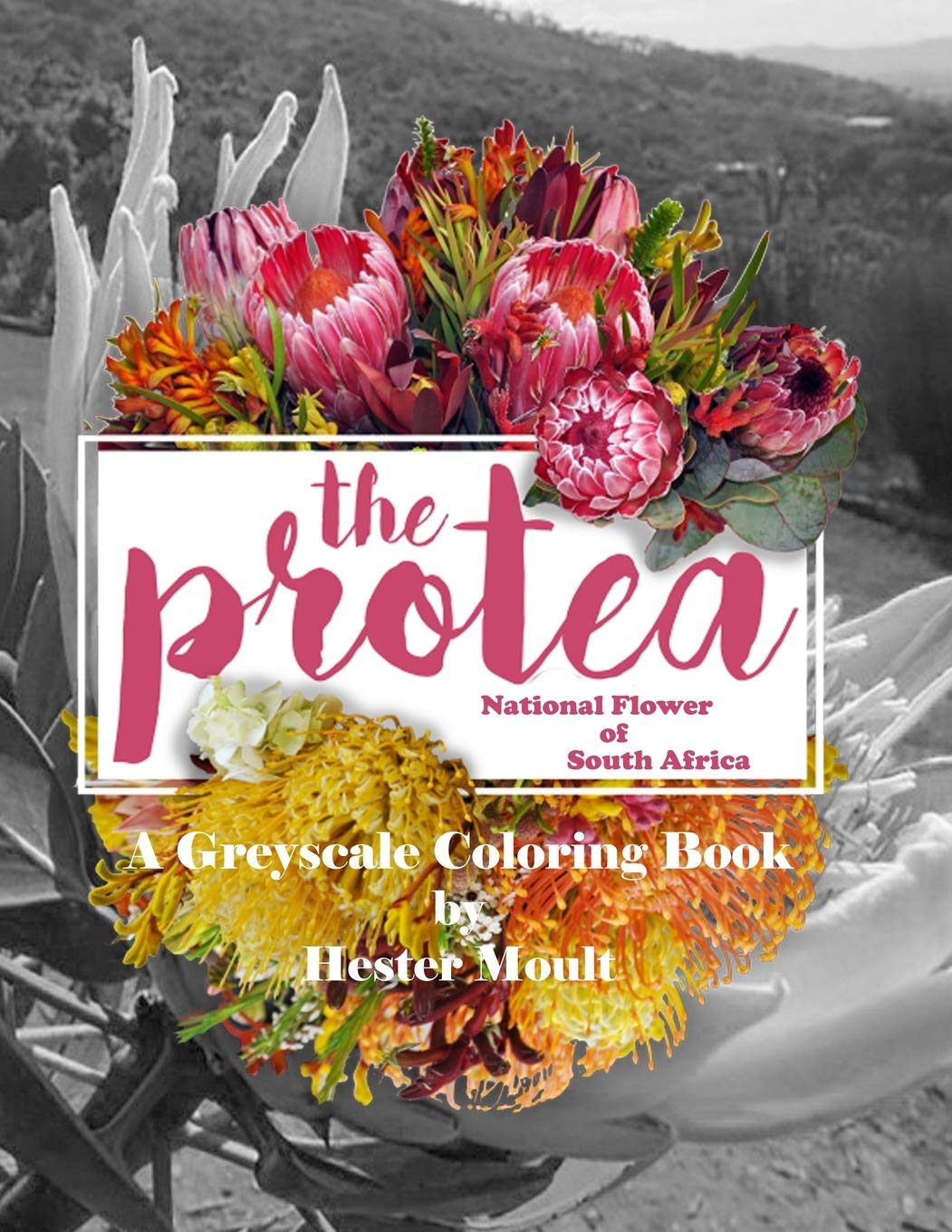 Buy The Protea - National Flower of South Africa: A Greyscale Coloring ...
