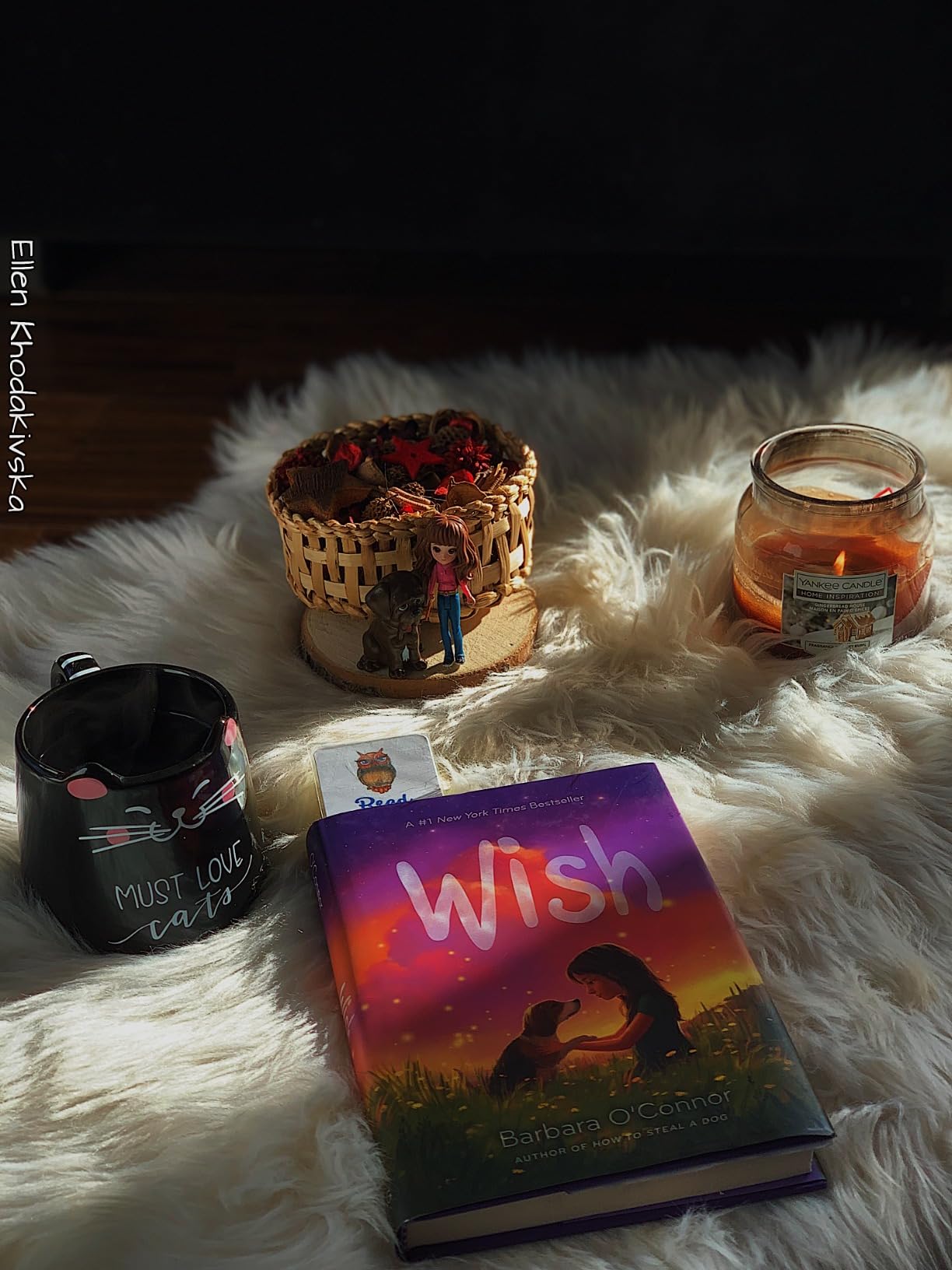 Wish: O'Connor, Barbara: 9780374302733: Amazon.com: Books