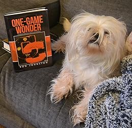 One-Game Wonder: A Hoops Memory and... by Johnston, Ron