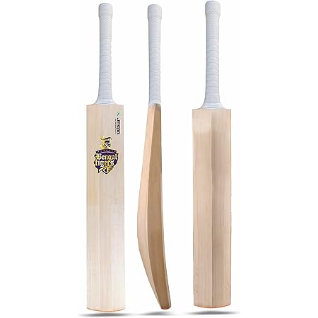 FERVOR SPEL® FS - Middle Bat for Practice : Amazon.in: Sports, Fitness ...