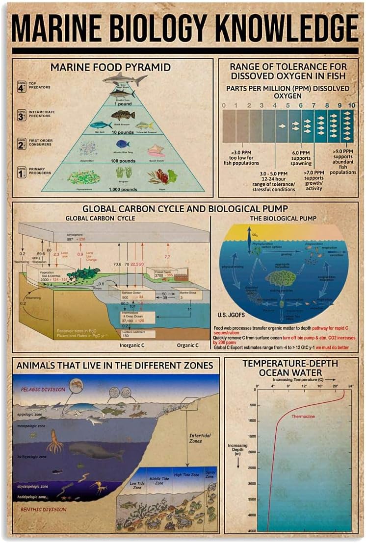 Amazon.de: Aluminium Metallschild Meeresbiologie-Wissen Meeresbiologie ...