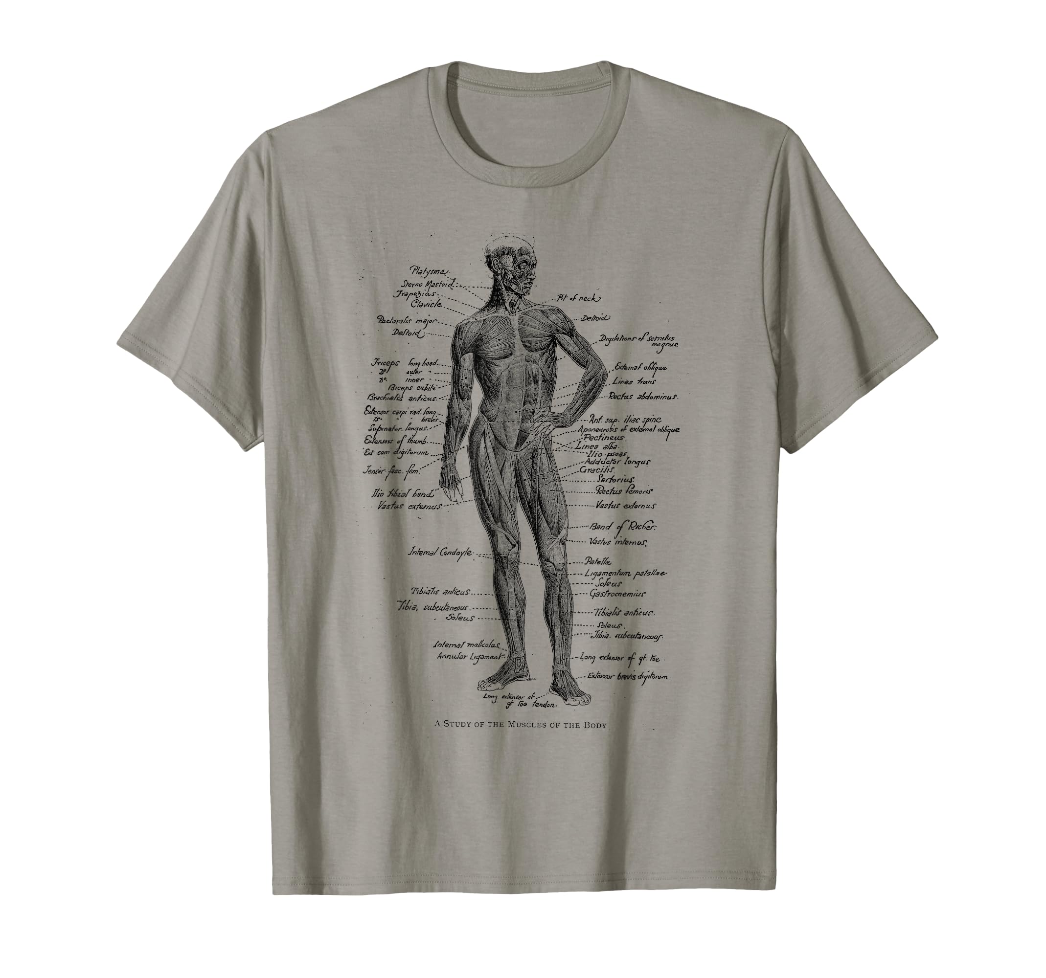 Amazon.com: Human Muscle Anatomy Design Gift Idea T-Shirt : Clothing ...