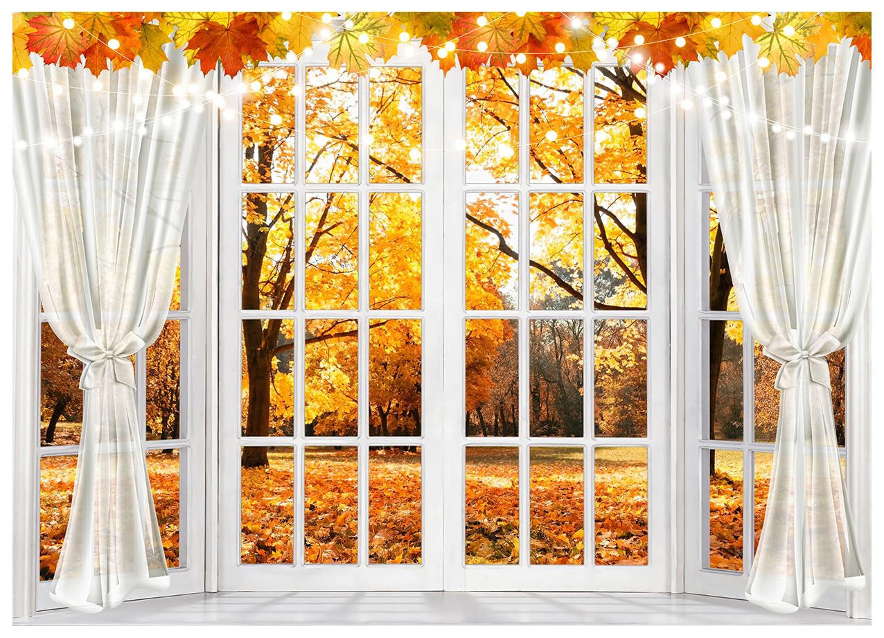 Amazon.com : WOLADA Fall Backdrop Autumn Window Backdrop Fall Festival ...