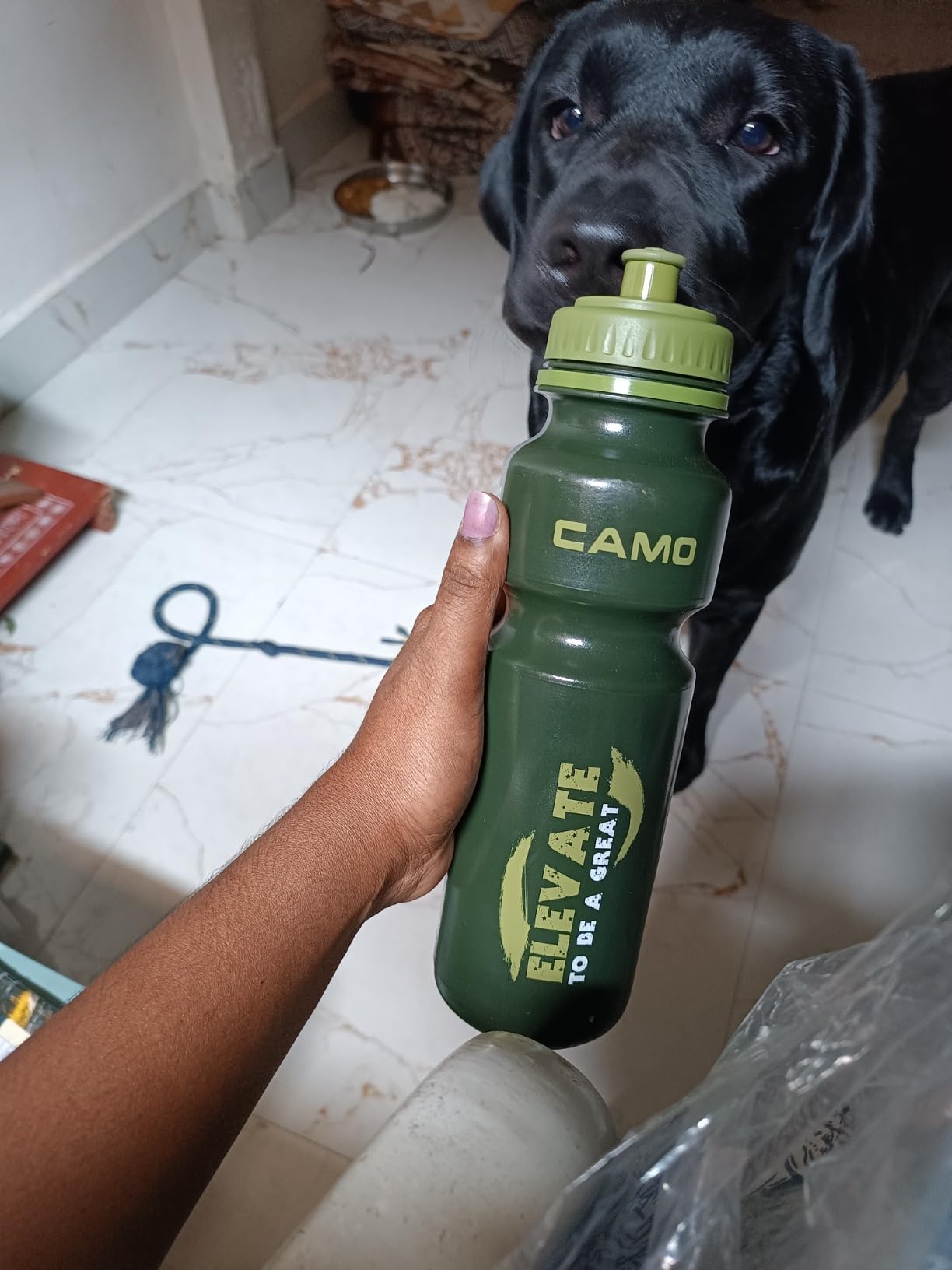 Buy Vector X Sipper Shaker Water Bottle for Cycling & Gym Fitness ...