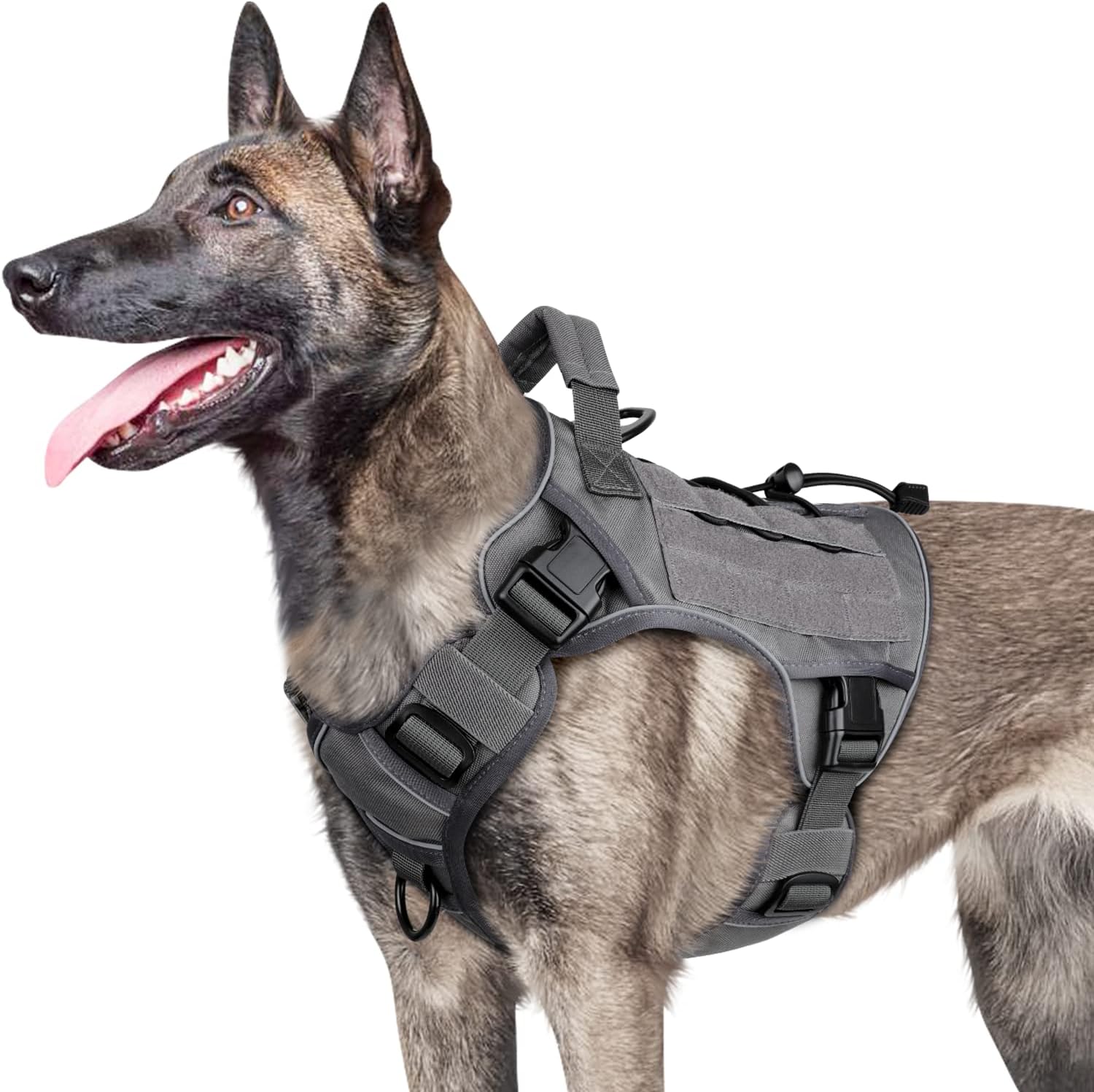 Amazon.com : WINGOIN Grey Tactical Dog Harness Vest for Small Dogs No ...