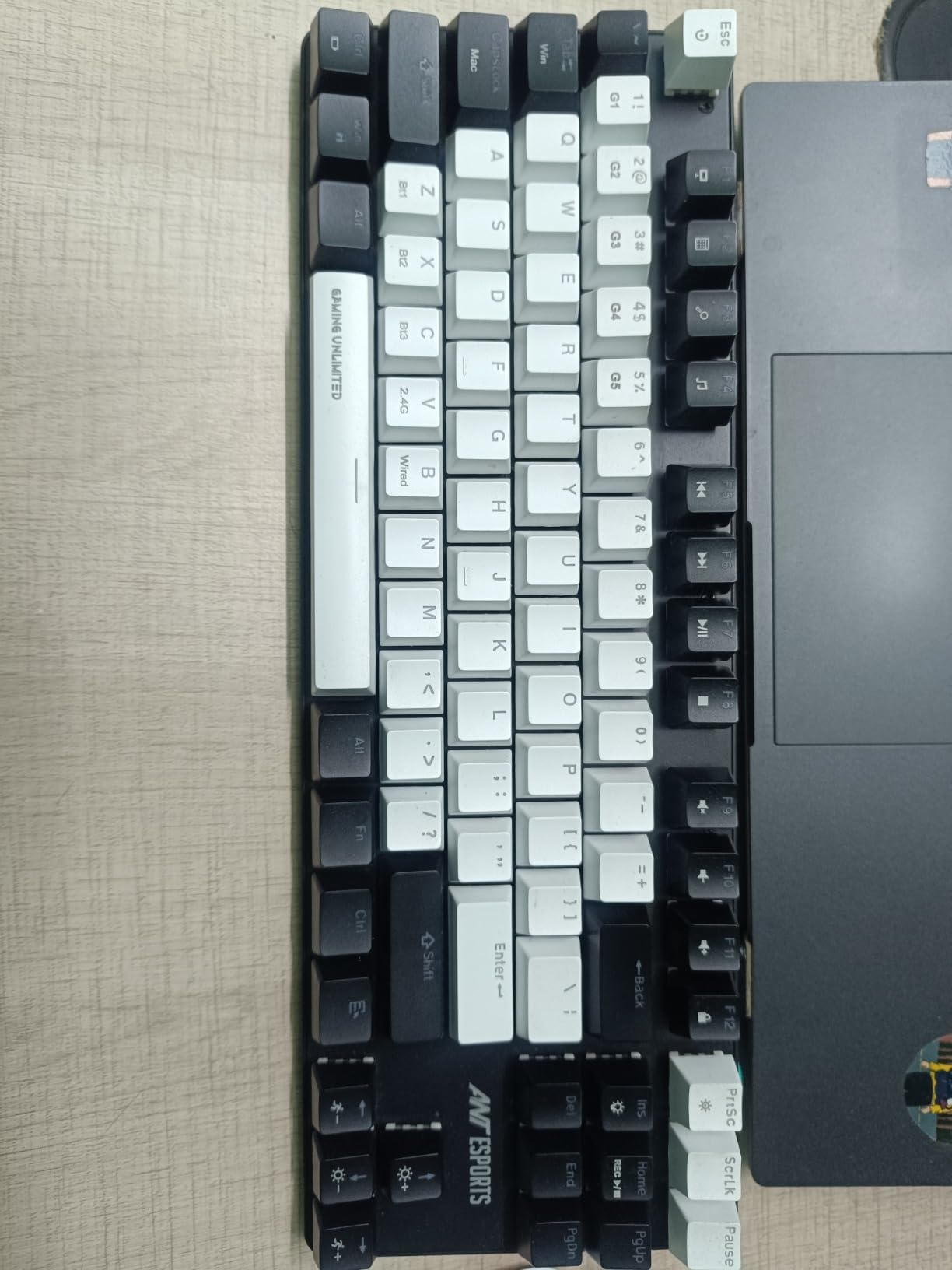 Amazon.in: Buy Ant Esports MK3200 V2 Wired Mechanical RGB Backlit ...