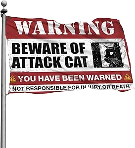 Amazon.com : Rv Flag Beware Of Attack Cats Flag Flags For Teens Car ...