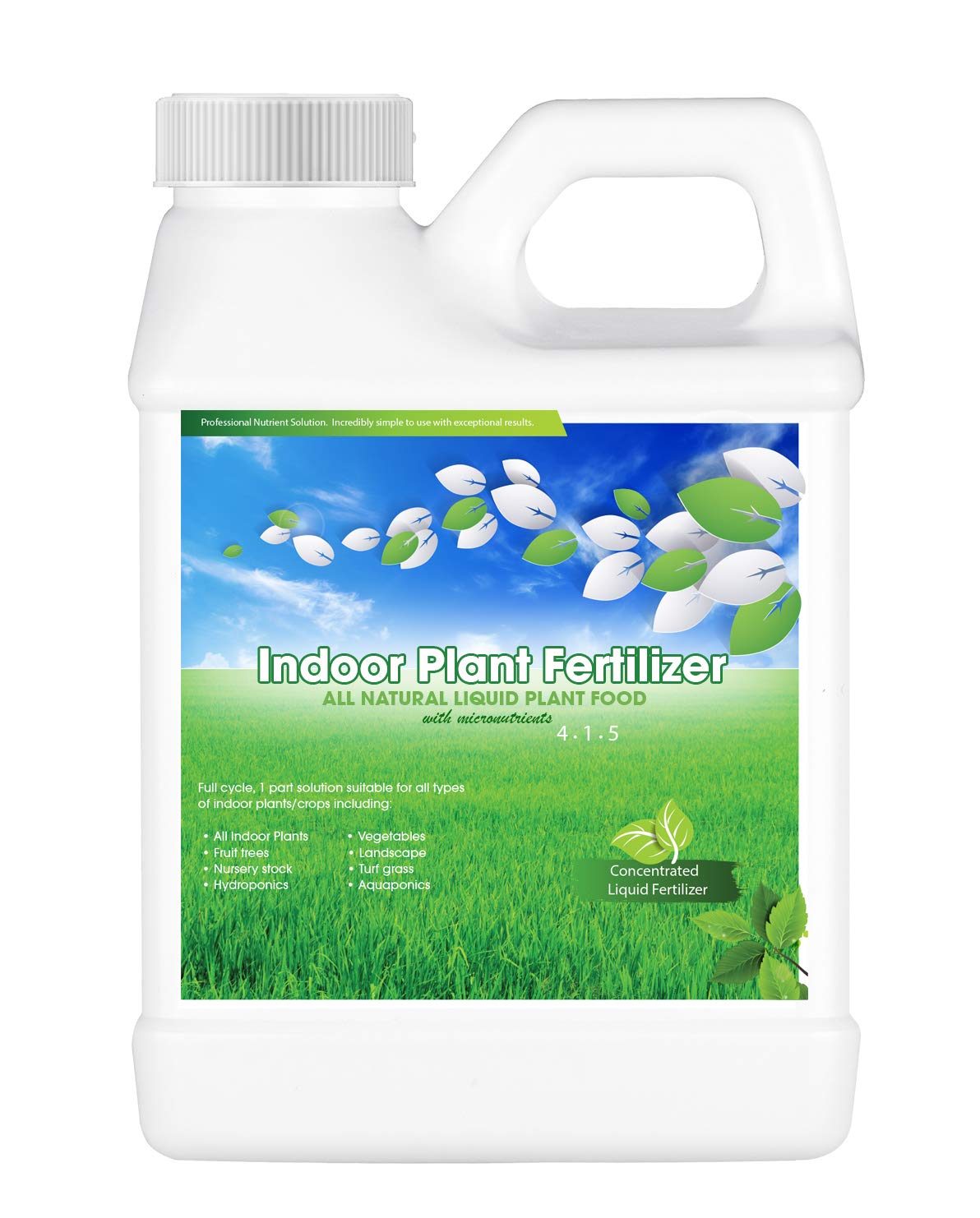 Amazon.com : All Natural Indoor Plant Food, All-Purpose House Plant ...