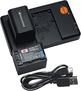 Amazon.com: DSTE 2-Pack NP-FV70 Battery + Rapid Dual Charger Compatible with Sony FDR-AX700 PXW ...