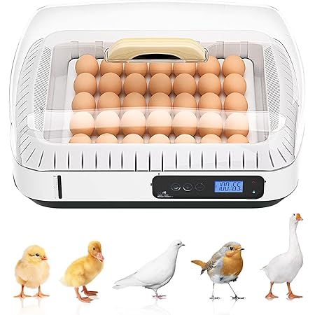 Amazon.com : 9TH SHOP Chicken Incubators for Hatching Eggs, Egg Incubator with Automatic Egg ...