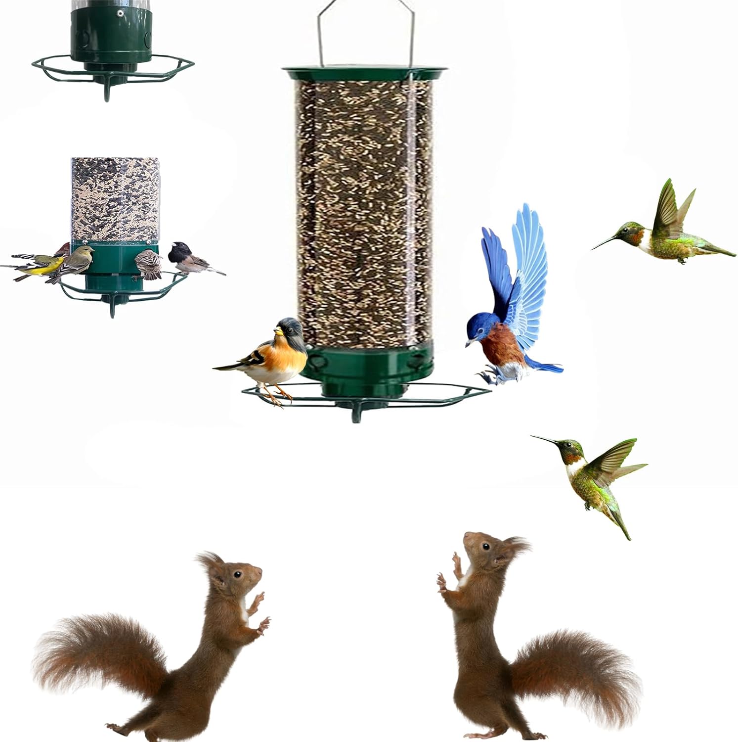 Amazon.com : Gerrit Squirrel-Proof Spinning Wild Bird Feeder for ...