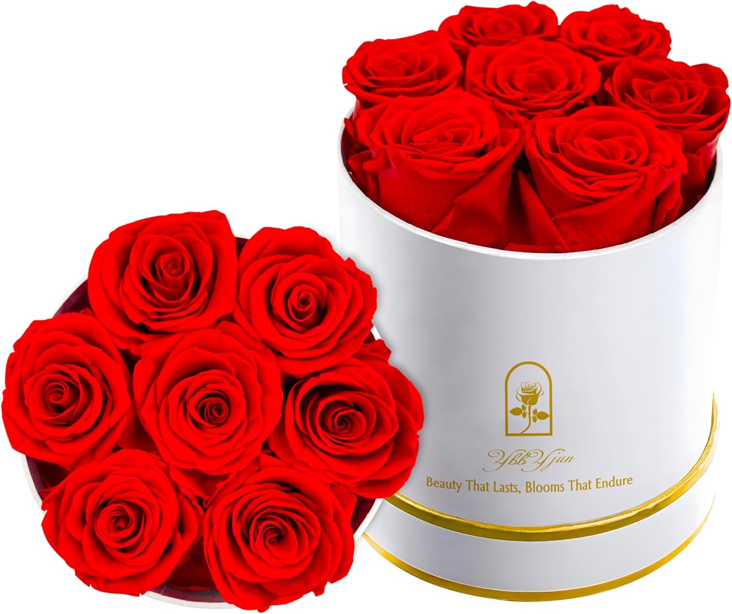Amazon.com: Yonihawk Preserved Roses in a Box, 7-Piece Forever Flowers ...